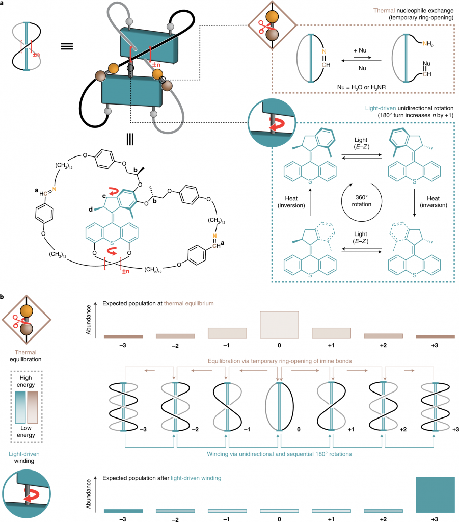 Publications - Stefano Crespi Research Group